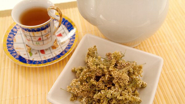 Schafgarbentee: Anwendung, Wirkung, Risiken, Zubereitung