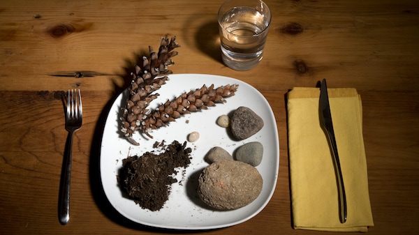 Pica-Syndrom: Ursache und Symptome der seltenen Essstörung