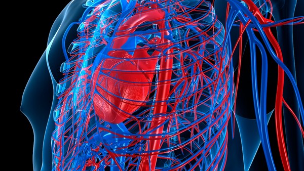Bluthochdruck: Vorbeugung, Ursachen, Symptome, Behandlung