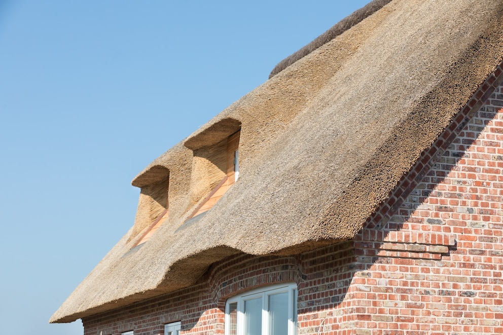 Das Reetdach: Die Vor- und Nachteile