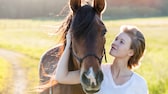 Mein Pferd beißt! Ursachen und was man dagegen tun kann - PETBOOK