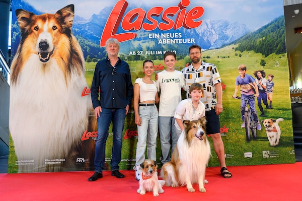 Lassie im Kino: 6 spannende Fakten über den Kult-Collie - PETBOOK