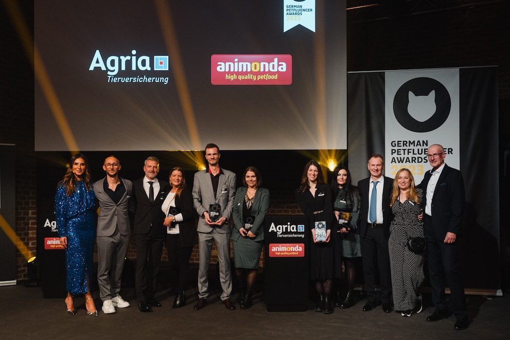 Die Gewinner des Petfluencer-Awards für Katzen 2023 - PETBOOK