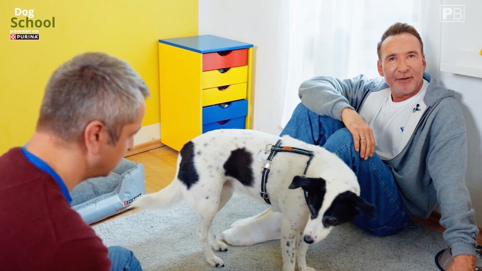 PETBOOK Dog School Staffel 2 - PETBOOK