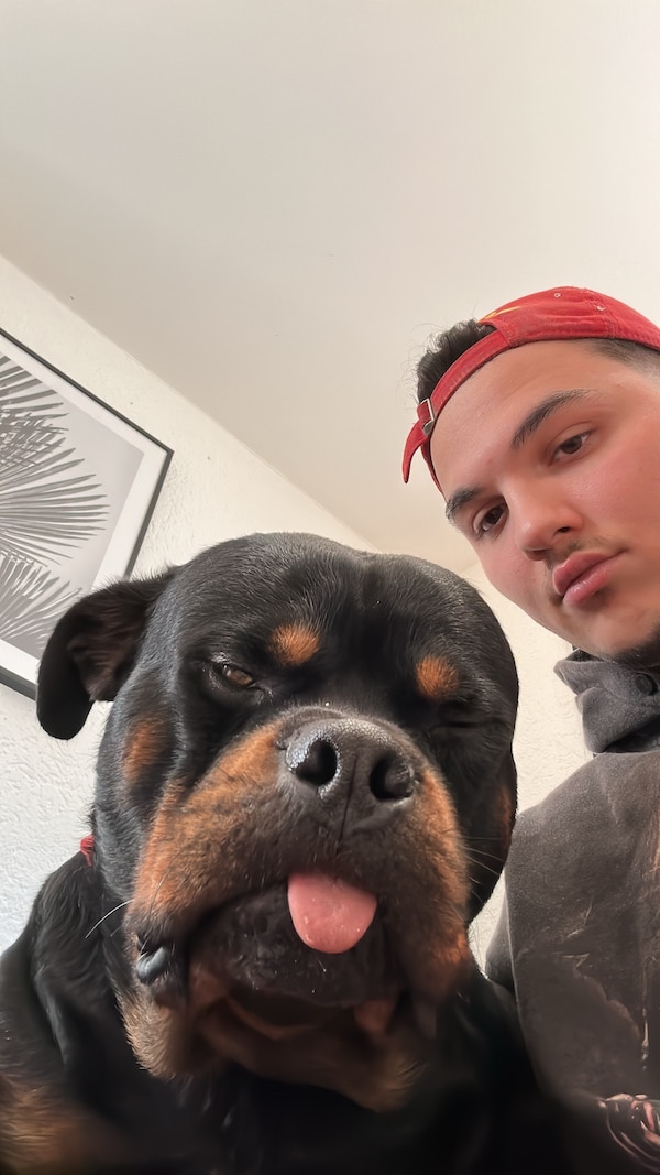 Petfluencer Shpetim über sein Leben mit Hund Canelo - PETBOOK