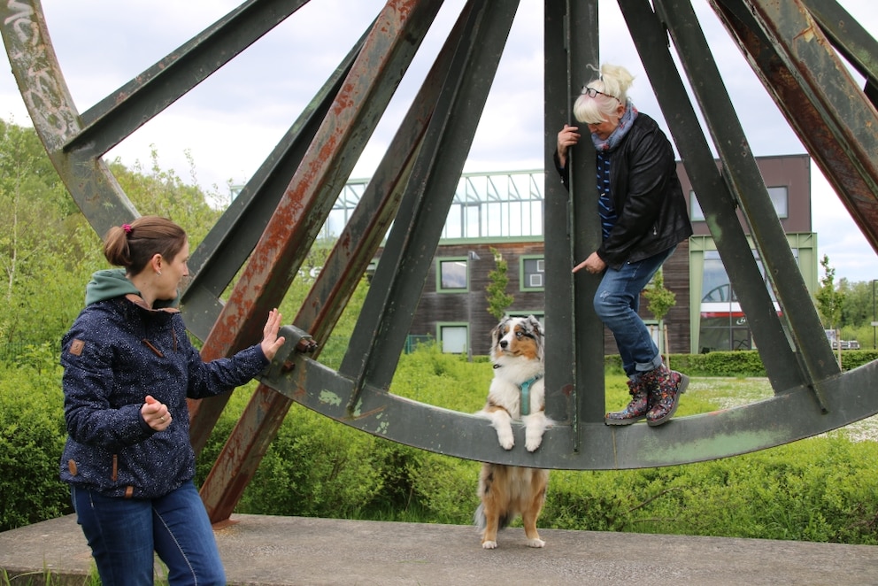Filmtier-Trainerin: »Jeder Hund kann ein Filmhund werden - PETBOOK
