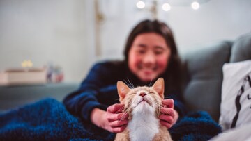 Woher kommt eigentlich der Weltkatzentag? - PETBOOK