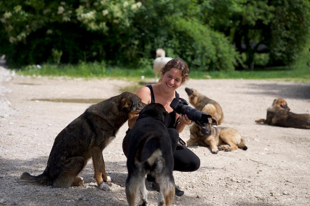 Sarah Fink verfolgt Straßenhunde mit GPS: Was sie herausfand