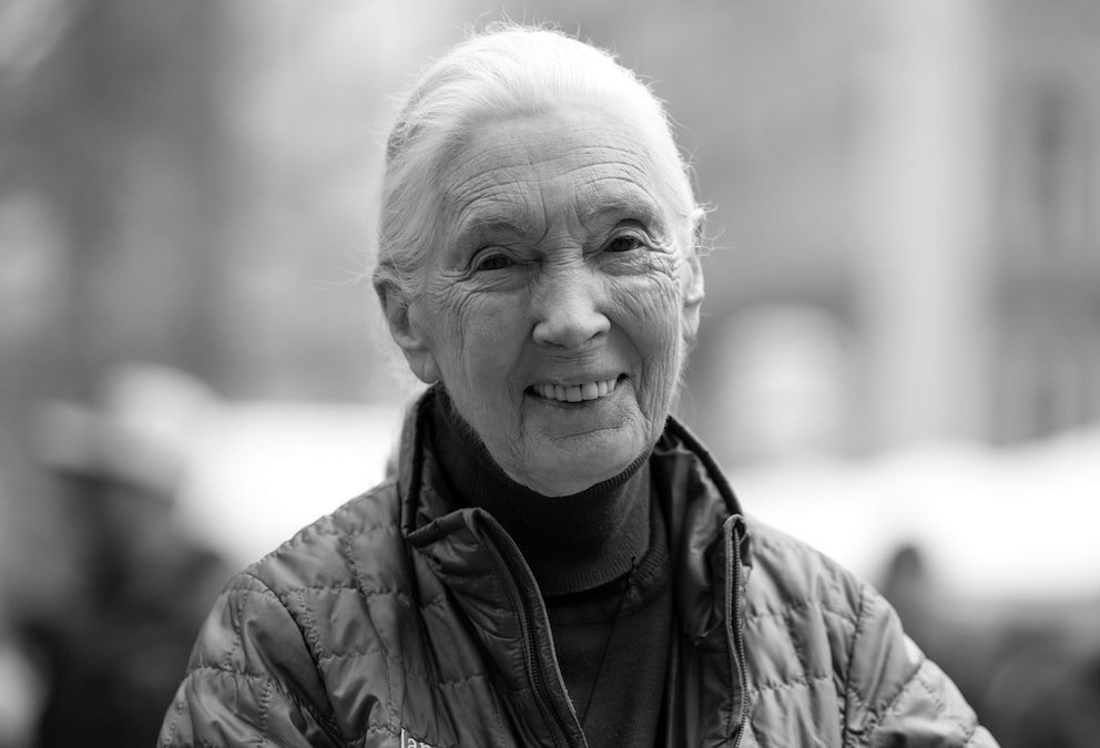 „Jane Goodall hat die Welt gelehrt, Tiere nicht als Versuchsobjekte zu ...