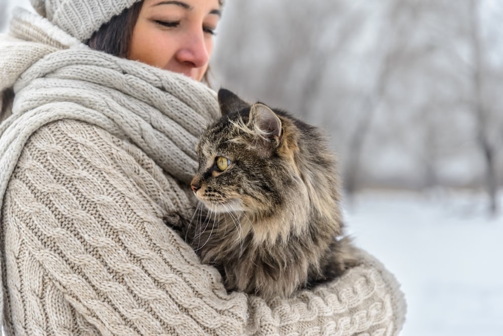 Statische Entladung im Winter – ist meine Katze sauer, wenn es „zappt“?