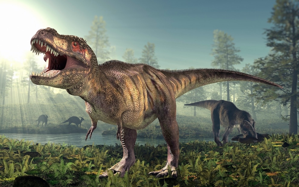 Forscher lösen Rätsel, warum der T. rex Mini-Arme hatte - PETBOOK
