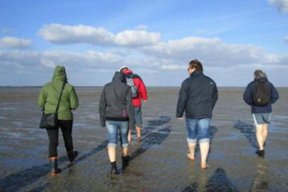 4 gute Gründe für Urlaub in Friesland