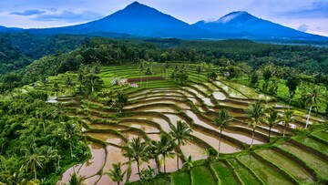 Die besten Sehenswürdigkeiten auf Java in Indonesien - TRAVELBOOK