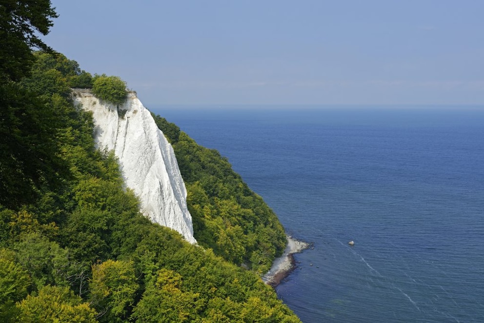 Die Kreidefelsen und der Königsstuhl – Rügens Wahrzeichen