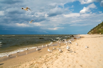 Die 11 schönsten Strände in Polen im Überblick - TRAVELBOOK
