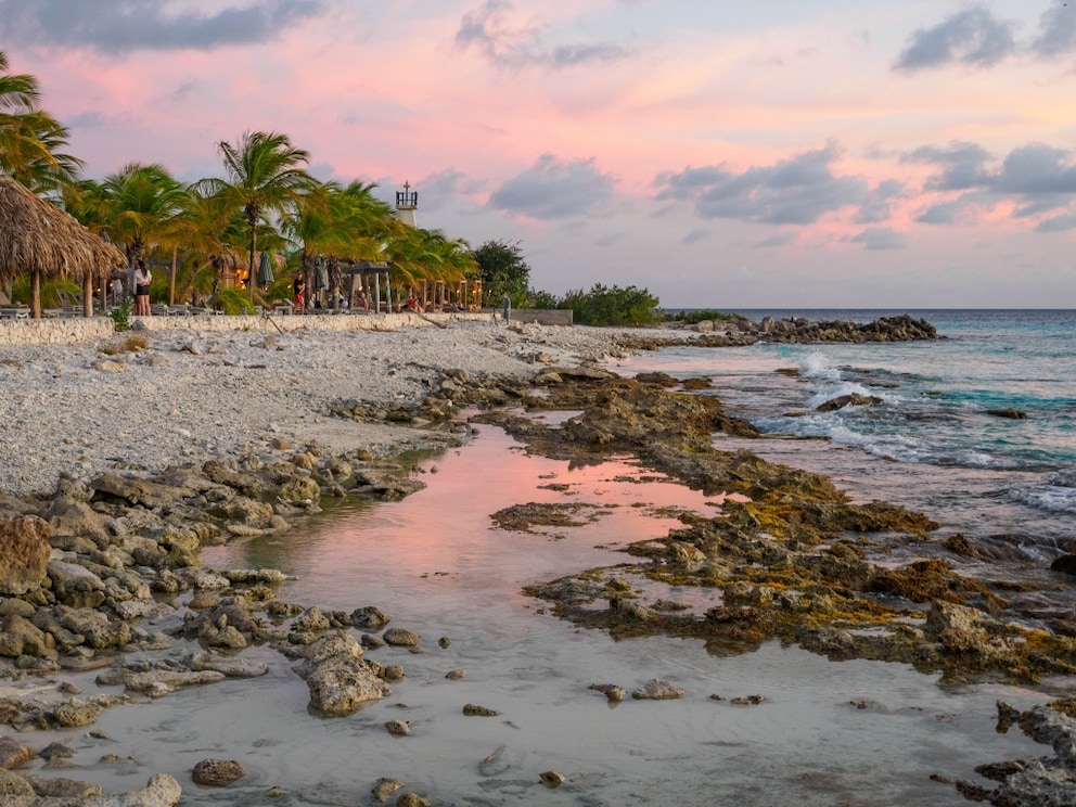 Bonaire: Reiseziele, Sehenswürdigkeiten, Aktivitäten - TRAVELBOOK