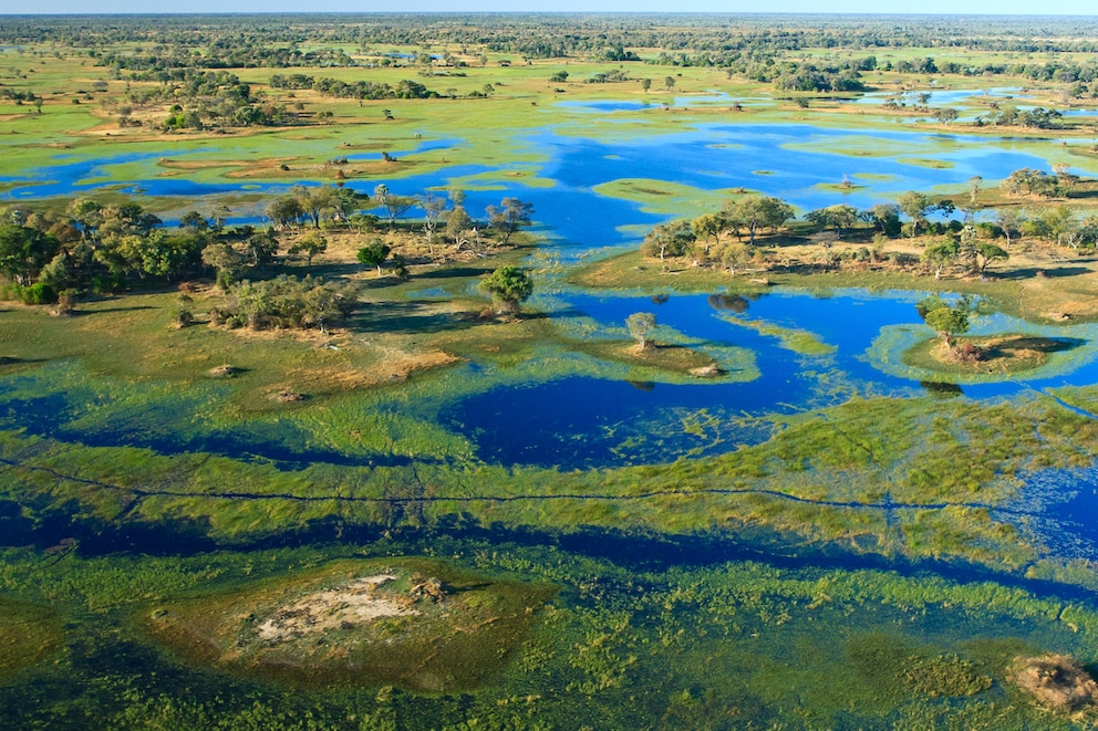 Botswanas Okavango-Delta: Das beste Ziel für nachhaltige Safaris - TRAVELBOOK
