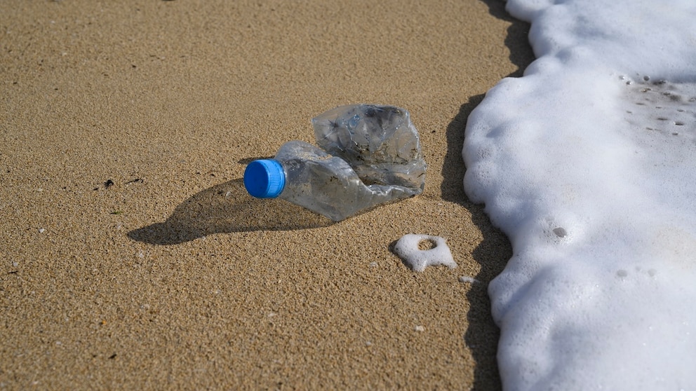 Diese Strände auf Mallorca sind besonders dreckig - TRAVELBOOK